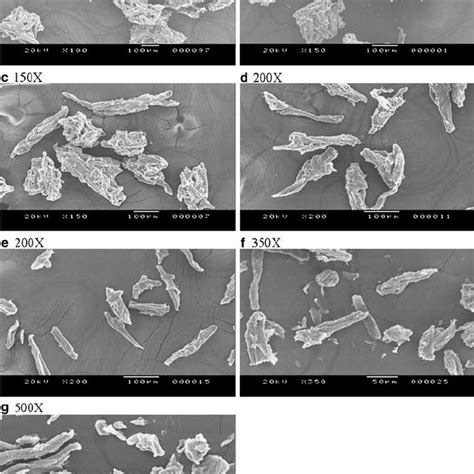 Scanning Electron Micrographs Of A Mcc A B Mcc B C Mcc C D Mcc D E