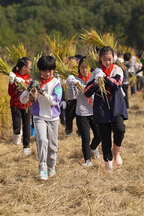 探索劳动教育新样态，苏州一直在路上 教育要闻 苏州市教育局