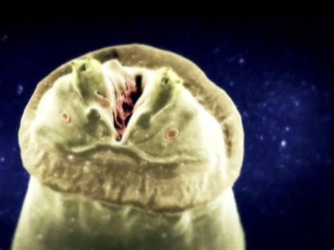 Prime Video Monsters Inside Me Season 2