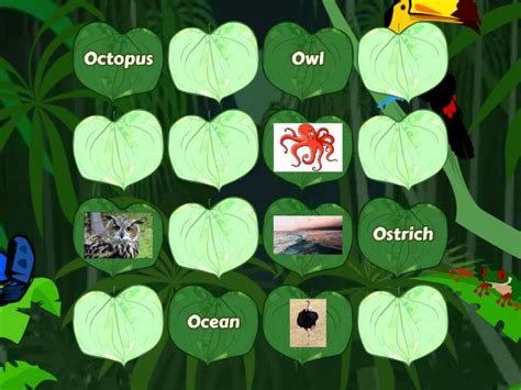 Letter O Matching Pairs