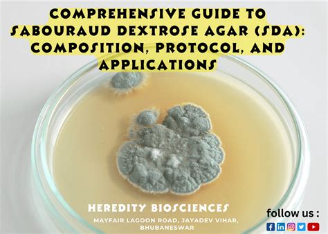 Comprehensive Guide To Sabouraud Dextrose Agar Sda Composition