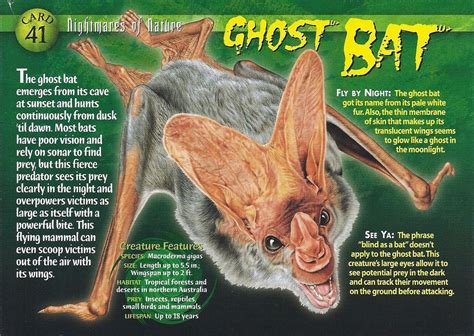Ghost Bat Artofit