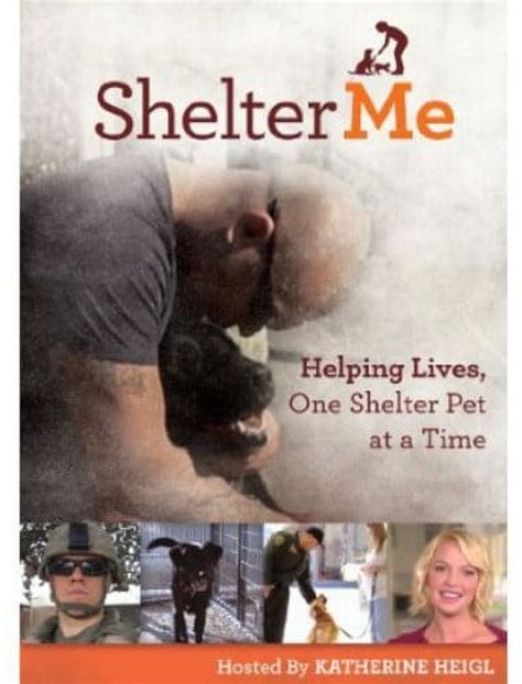 Shelter Me Dvd Virgil Films Documentary