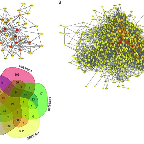 Protein Protein Interaction Ppi Network Analysis A Ppi Network Of