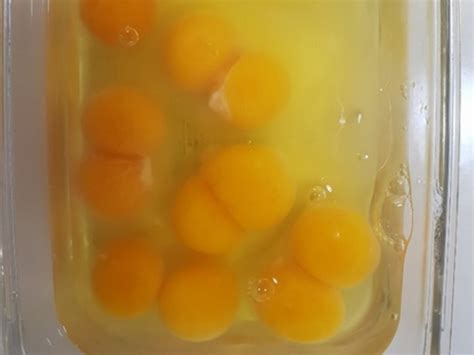 달걀 한 판이 모두 쌍란… 주부의 고민 먹어도 되나