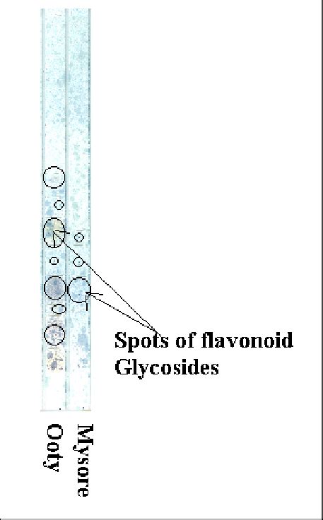 Thin Layer Chromatography Of Tea Clone Circular Spots Are Showing The