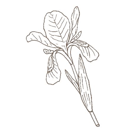 Sex On Fire Me You Bed Now Mystiqflare