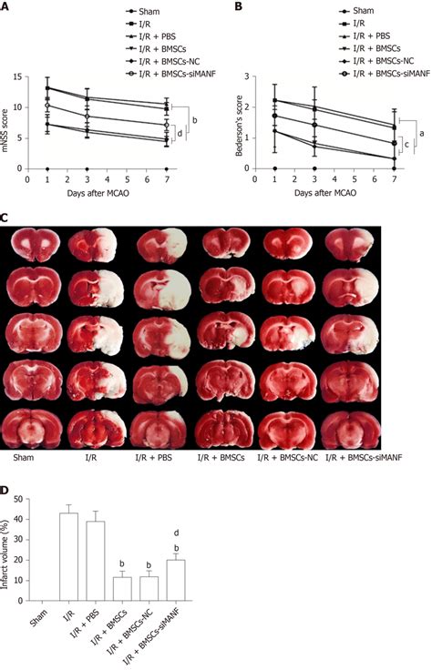 Effects Of Mesencephalic Astrocyte Derived Neurotrophic Factor On
