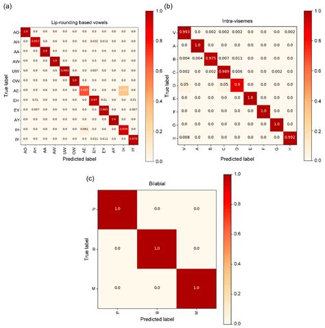 lipreading architecture based on multiple convolutional neural networks