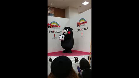 熊本熊2022年11月11日星期五 熊本熊广场 Youtube