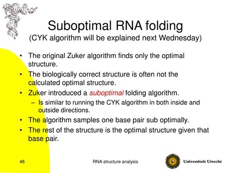 Ppt Rna Structure Analysis Powerpoint Presentation Free Download