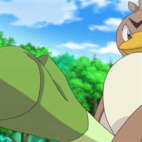 Farfetch D Wallpaper Sirfetchd New Farfetchd Evolution