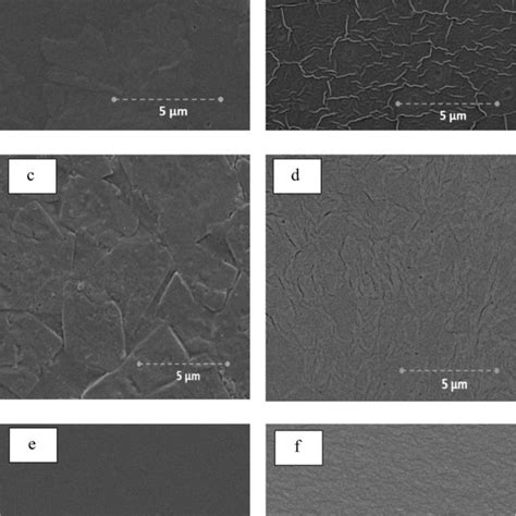 Sem Micrographs Of Surface 10 000× Magnification And Cross Section