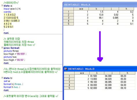 Sas Sas를 이용해 데이터셋의 변수마다 원하는 소수점자리 지정하기