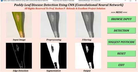 paddy leaf disease detection and pesticide suggestion using cnn python
