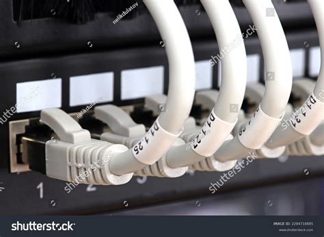 Ethernet Cable Rj45 Connector Connected Socket Stock Photo 2284718885 Shutterstock