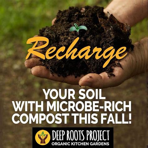Deep Roots Project