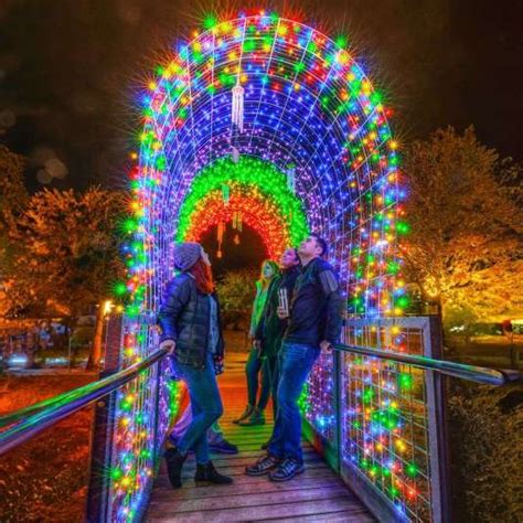 Northern Lights Art Walk Returns To The Luther Burbank Center The
