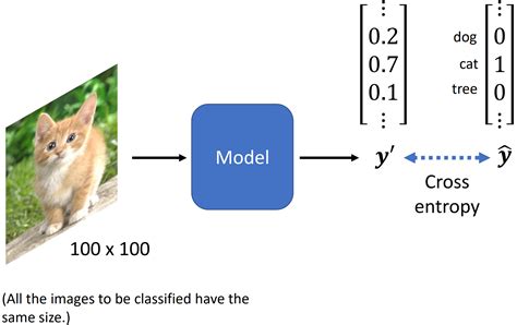 Lecture 3 Convolutional Neural Network CNN 什么叫共享参数的神经元 CSDN博客