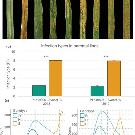 Yr78 Infection Type It And Severity Sev A Reactions To Field Download Scientific Diagram