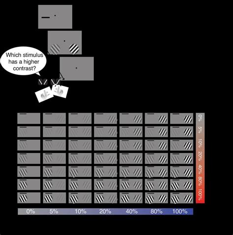 Task And Stimuli A The Attention Cueing Comparative Contrast