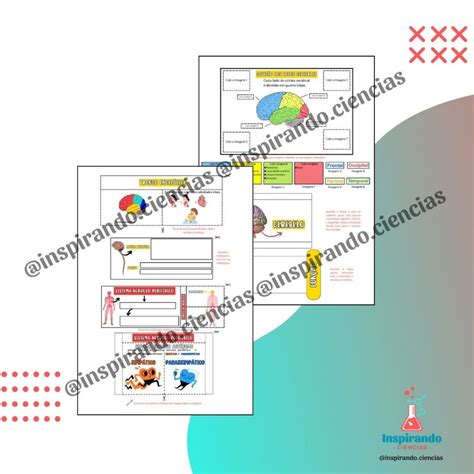 Caderno Interativo Sistema Nervoso Inspirando Ciências