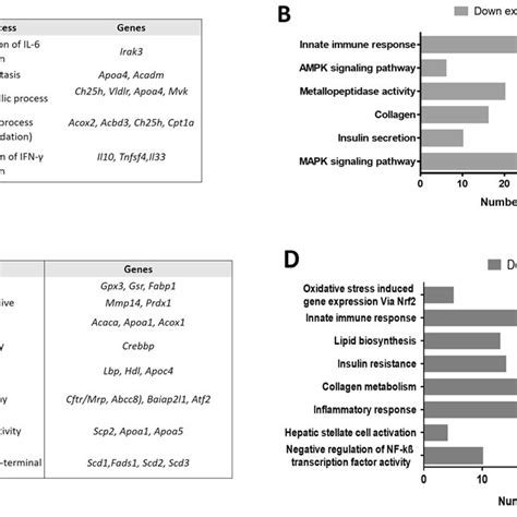 Microarray Analysis Of Cellular Pathways With Gene Dysregulation Cvd