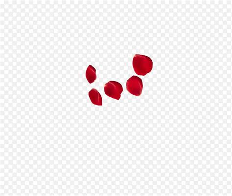 四片玫瑰花瓣漂浮素材免抠图PNG图片素材下载 图片编号qwxjergy 免抠素材网