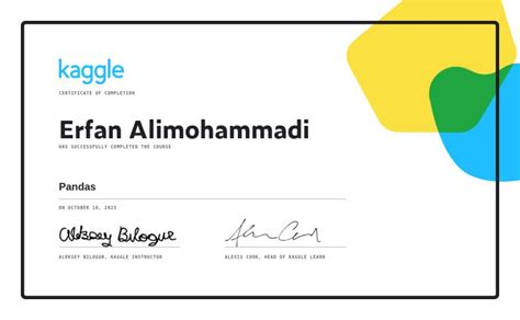 🚀 Exciting News Erfan Alimohammadi