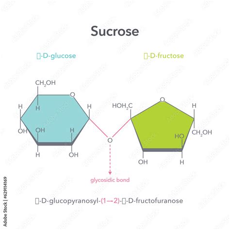 Sucrose Disaccharide Table Sugar Vector Illustration Structure Diagram Stock Vector Adobe Stock
