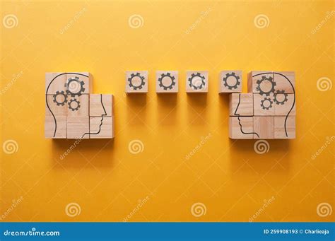 Human Brain Cogs Stock Image Image Of Creativity Idea 259908193 Human Brain Cogs Stock Image Image Of Creativity Idea 259908193