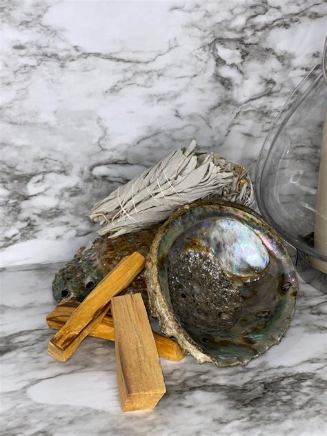 Jumbo Abalone Shell The Frequency Box