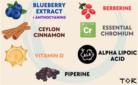 Mua Berberine 500mg Blueberry Ceylon Cinnamon Chromium Picolinate