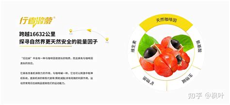 巴西瓜拉纳超全科普（能量饮料新宠儿） 知乎