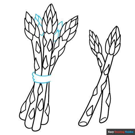 How To Draw Asparagus Really Easy Drawing Tutorial