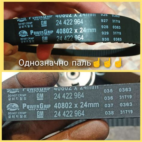 24422964 Ремень грм GM | Запчасти на DRIVE2