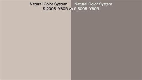 Natural Color System S 2005 Y60r Vs S 5005 Y80r Side By Side Comparison
