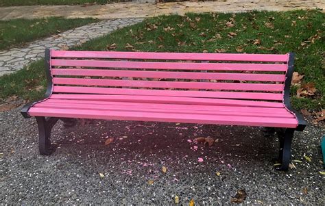 A Maddaloni Una Panchina Rosa Per Ricordare L Importanza Della