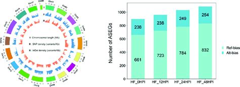 Identification Of Asegs A Circos Plot Of Hf Resequencing Data