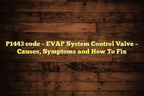 P1443 Code Evap System Control Valve How To Fix