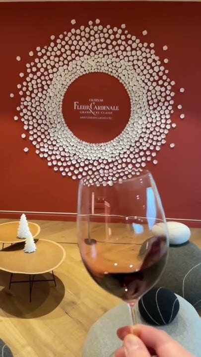 맨날 술이야 Shorts 보르도와이너리투어 보르도와인 보르도여행 보르도 와인 Youtube