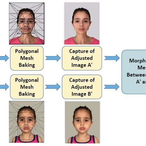 Flowchart Of Automatic Detection And Alignment Morphological Morphing