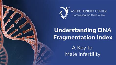 Understanding Dna Fragmentation Index Test A Key To Male Infertility Aspire Fertility Center