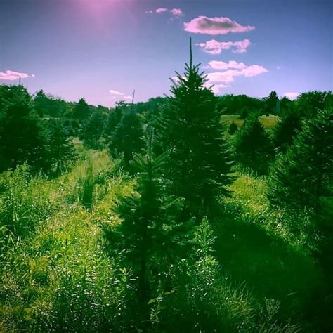 Amanda Huff Home Facebook