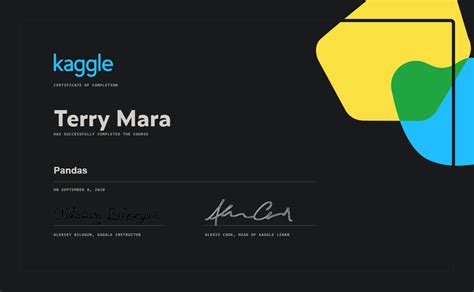 Terry Mara Completed The Pandas Course On Kaggle