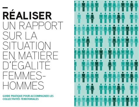 Accompagner Les Collectivités Territoriales Réaliser Un Rapport Sur L