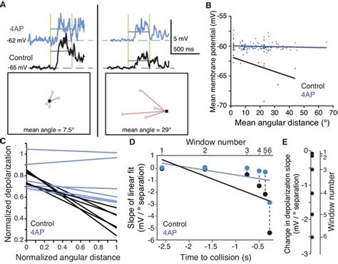Figures And Data In Biophysics Of Object Segmentation In A Collision