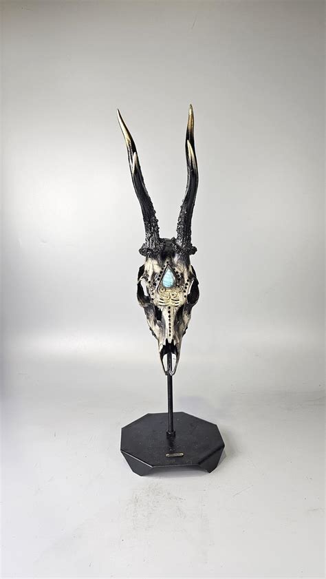 Real Roe Deer Skull Art With Engraved Design And Cabochon Labradorite