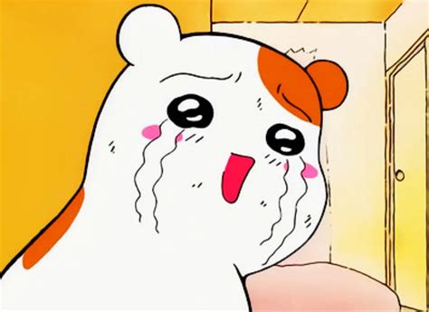 에비츄 귀여운 짤 에비츄 3화 보기 네이버 블로그