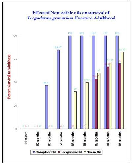 Effect Of Non Edible Oils On Survival Of Trogoderma Granarium Everts